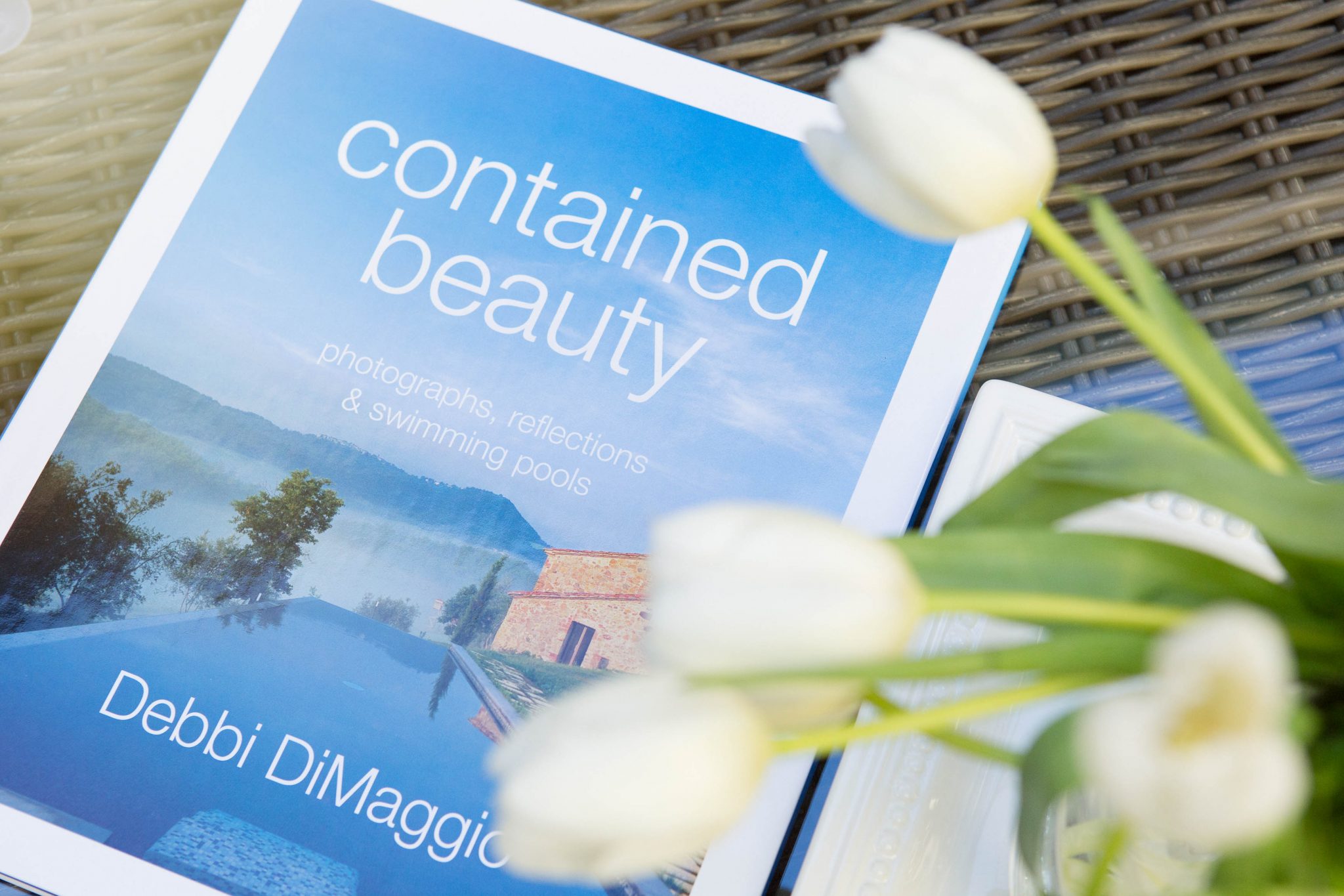 Our Portfolio - DiMaggio Betta Group